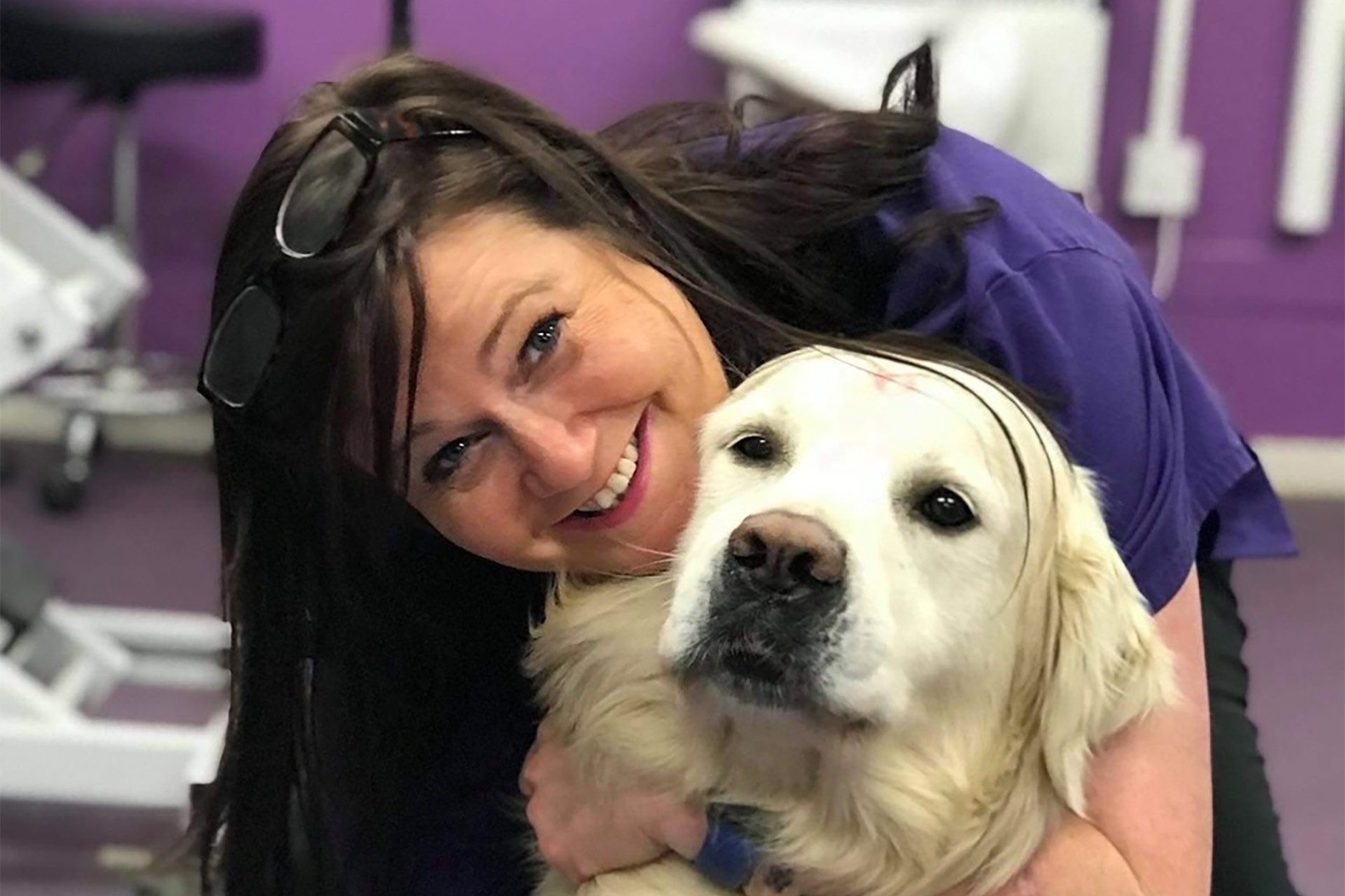 Love Dog Grooming Doggy Daycare And Training Services In Johnstone